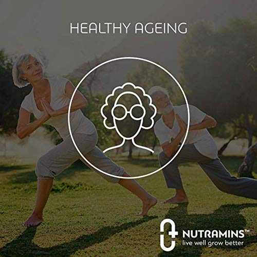 nutritional supplement with aged garlic extract