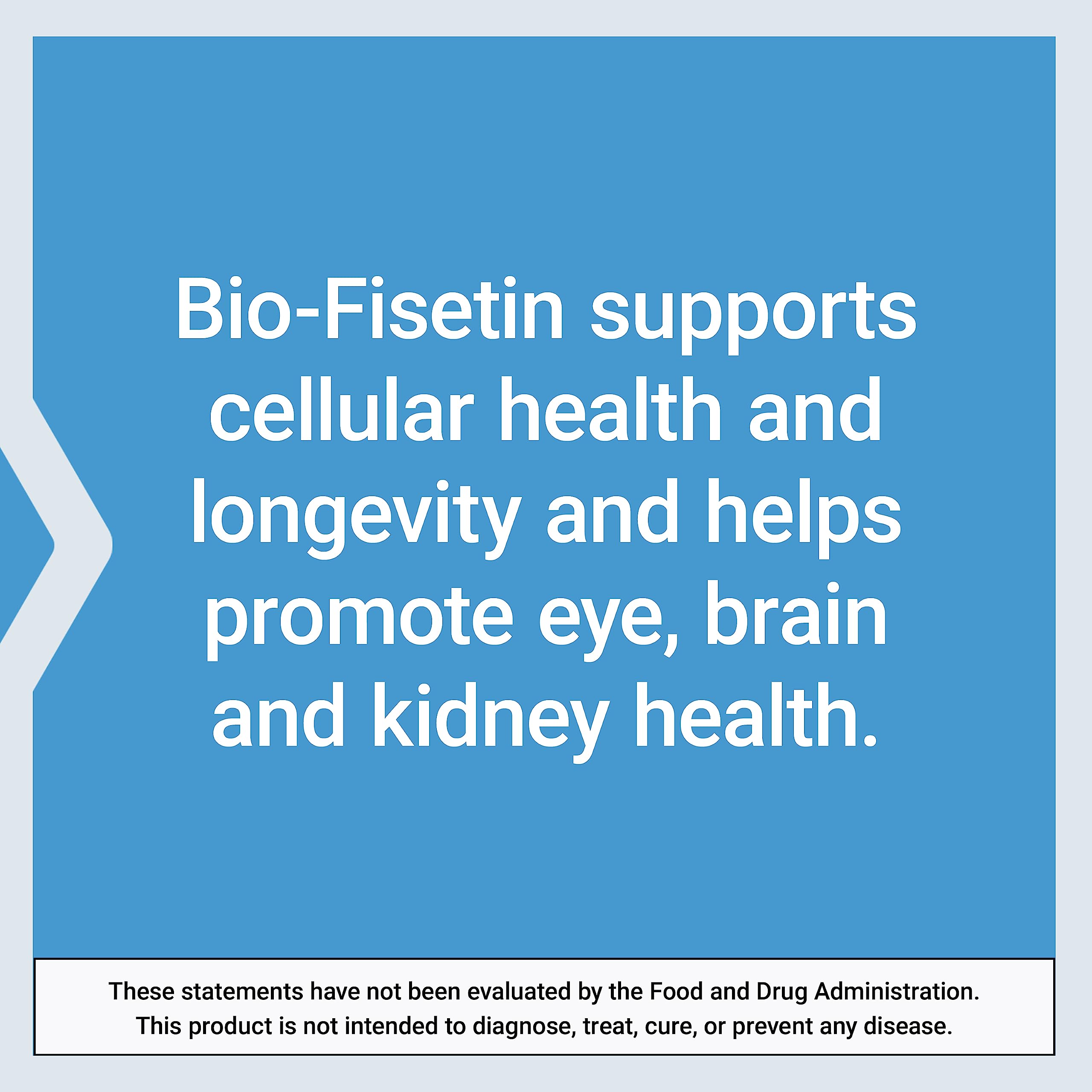 nutritional supplements for brain health