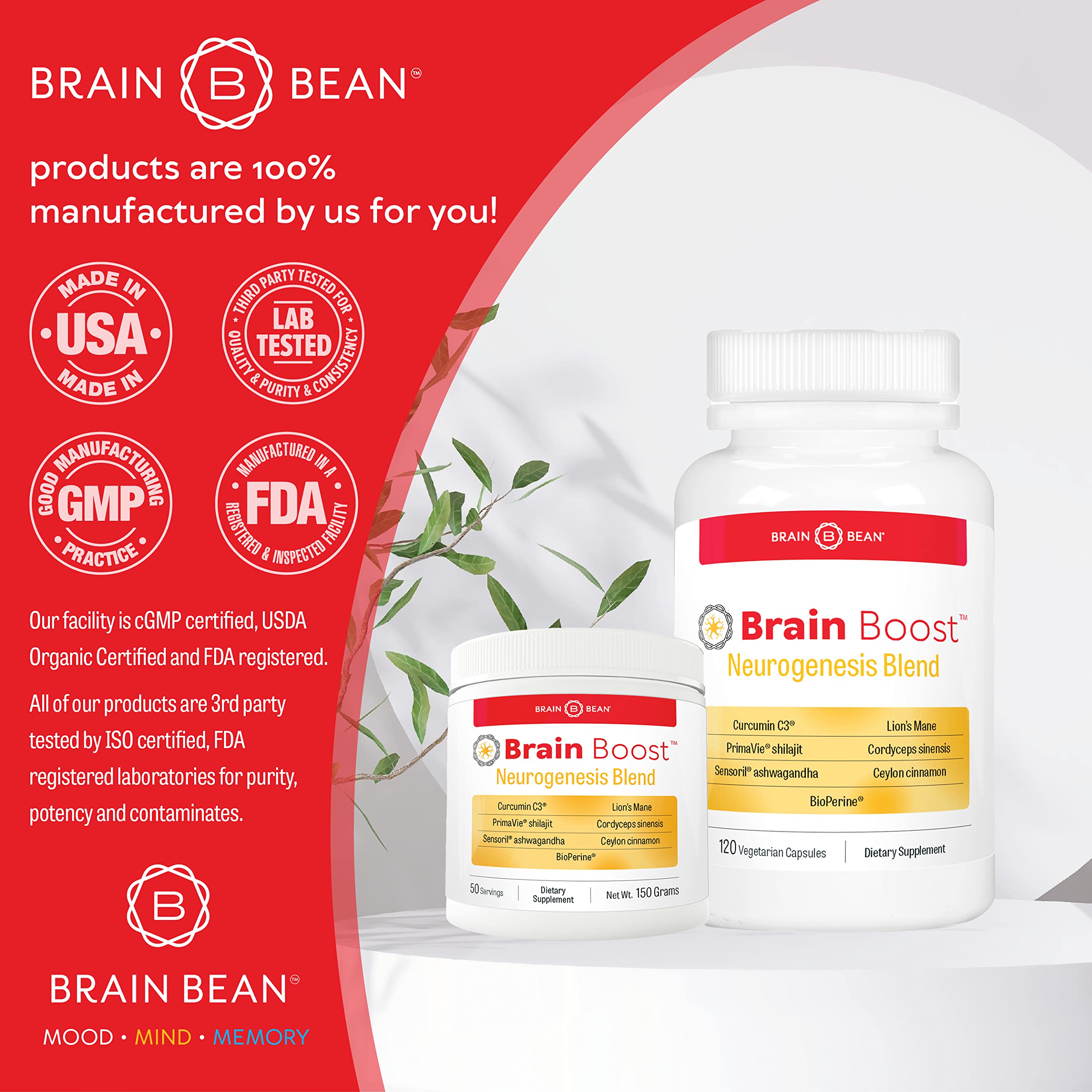 nutritional supplements for brain performance