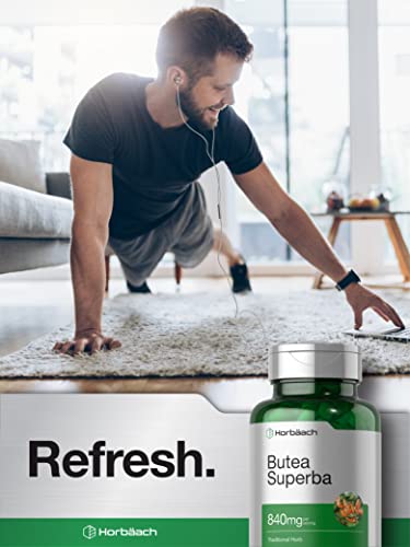 nutritional support for active lifestyles