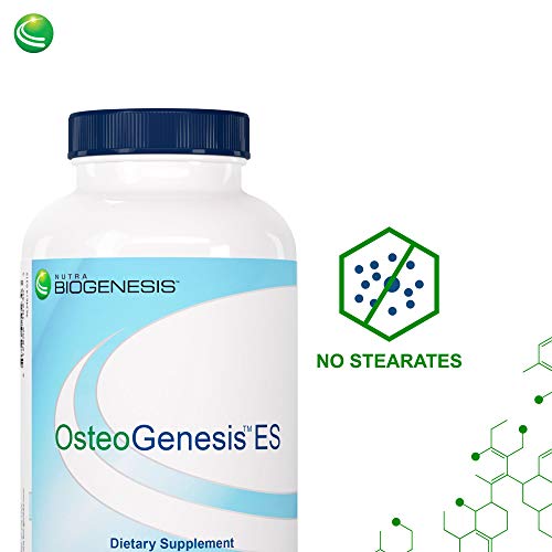 nutritional support for active lifestyles