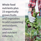 nutritional support for active men