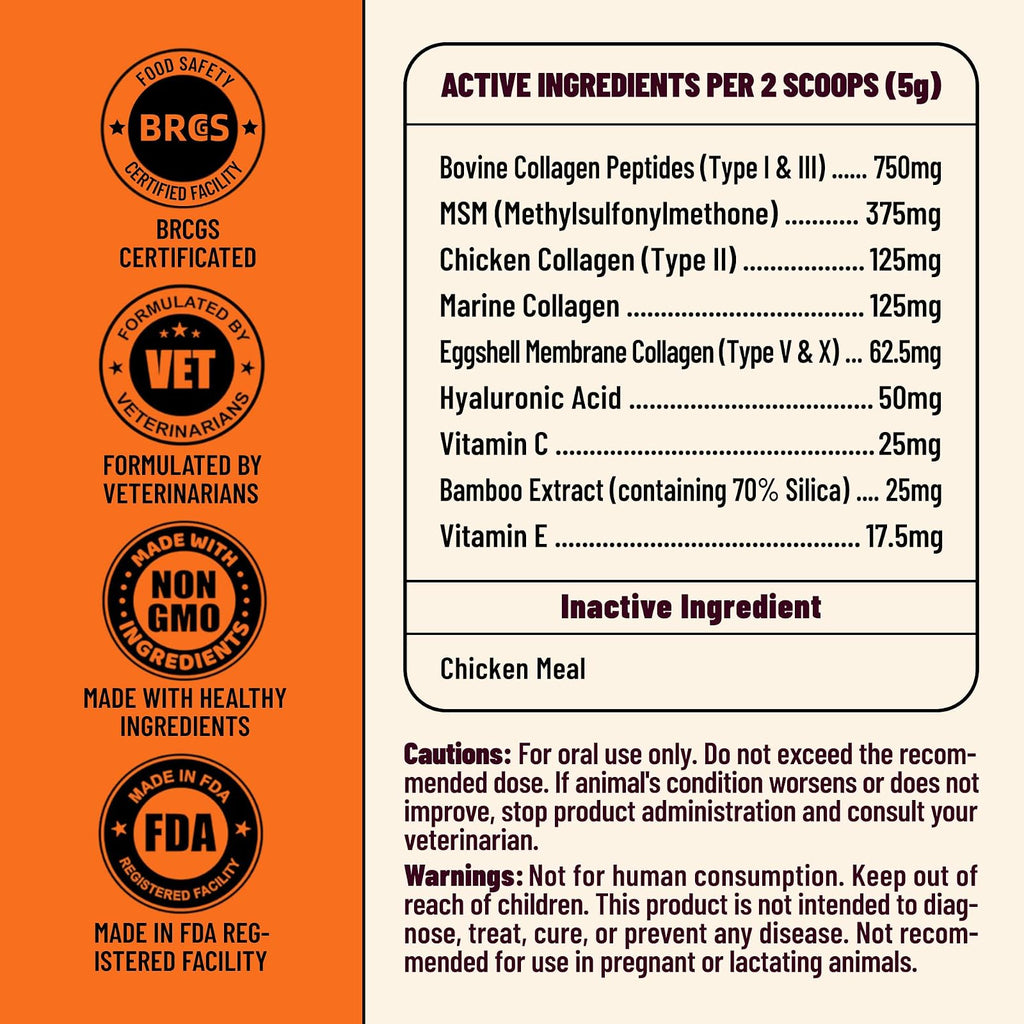 nutritional support for aging dogs