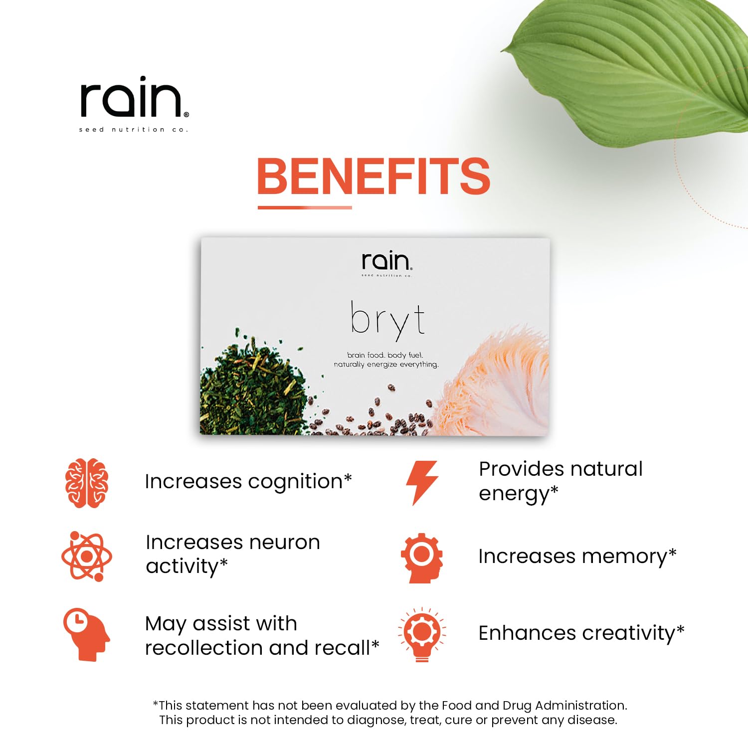 Nutritional support for brain function