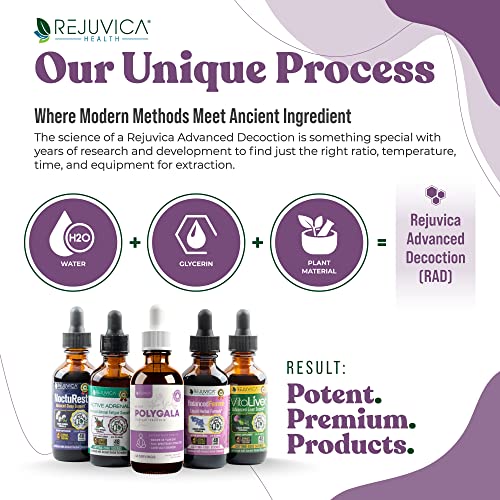 Nutritional support for brain function