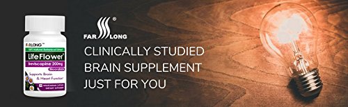 nutritional support for brain health