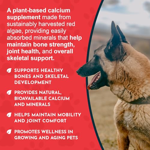 nutritional support for cats and dogs