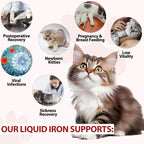 nutritional support for cats iron