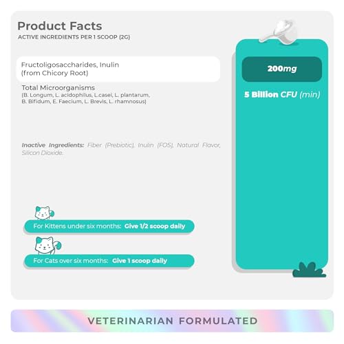Nutritional support for cats with Lysine