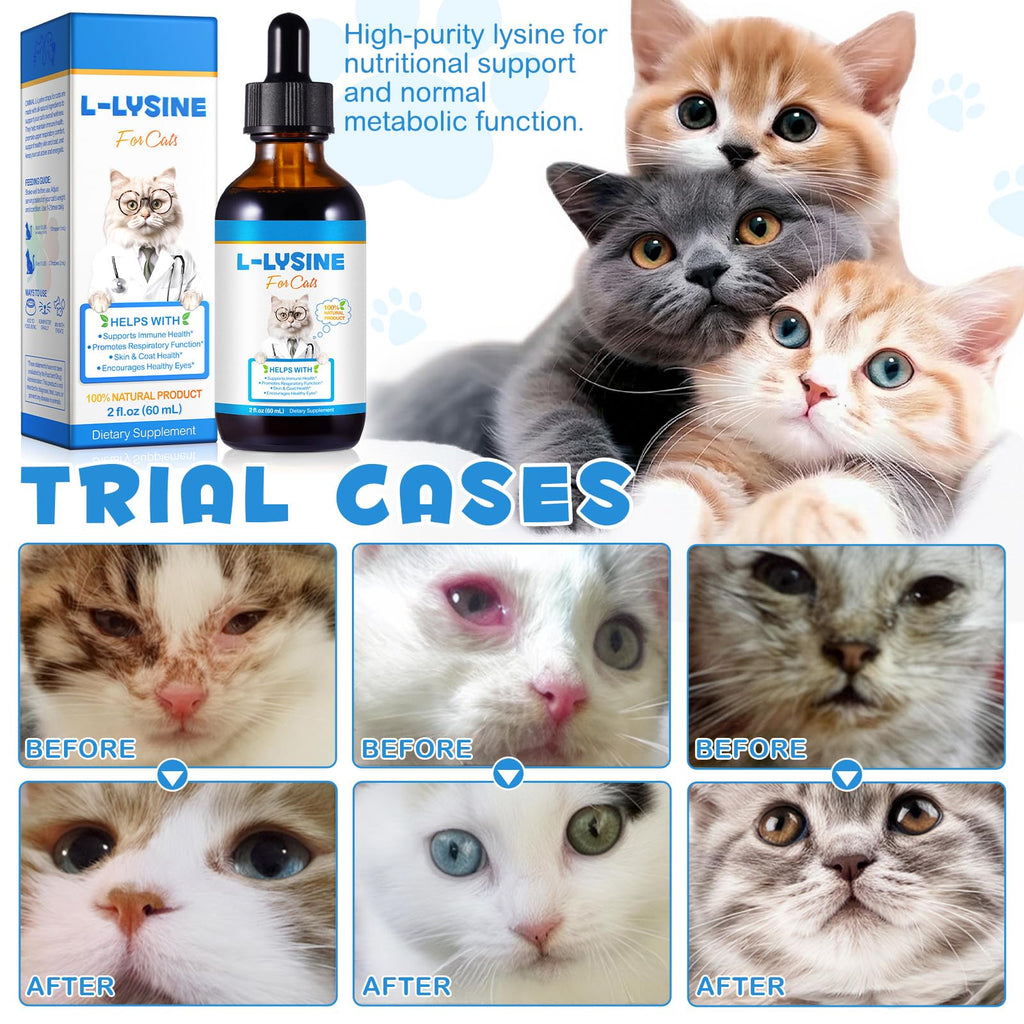 nutritional support for cats