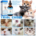 nutritional support for cats