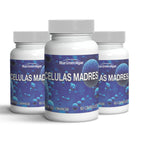 nutritional support for cellular health