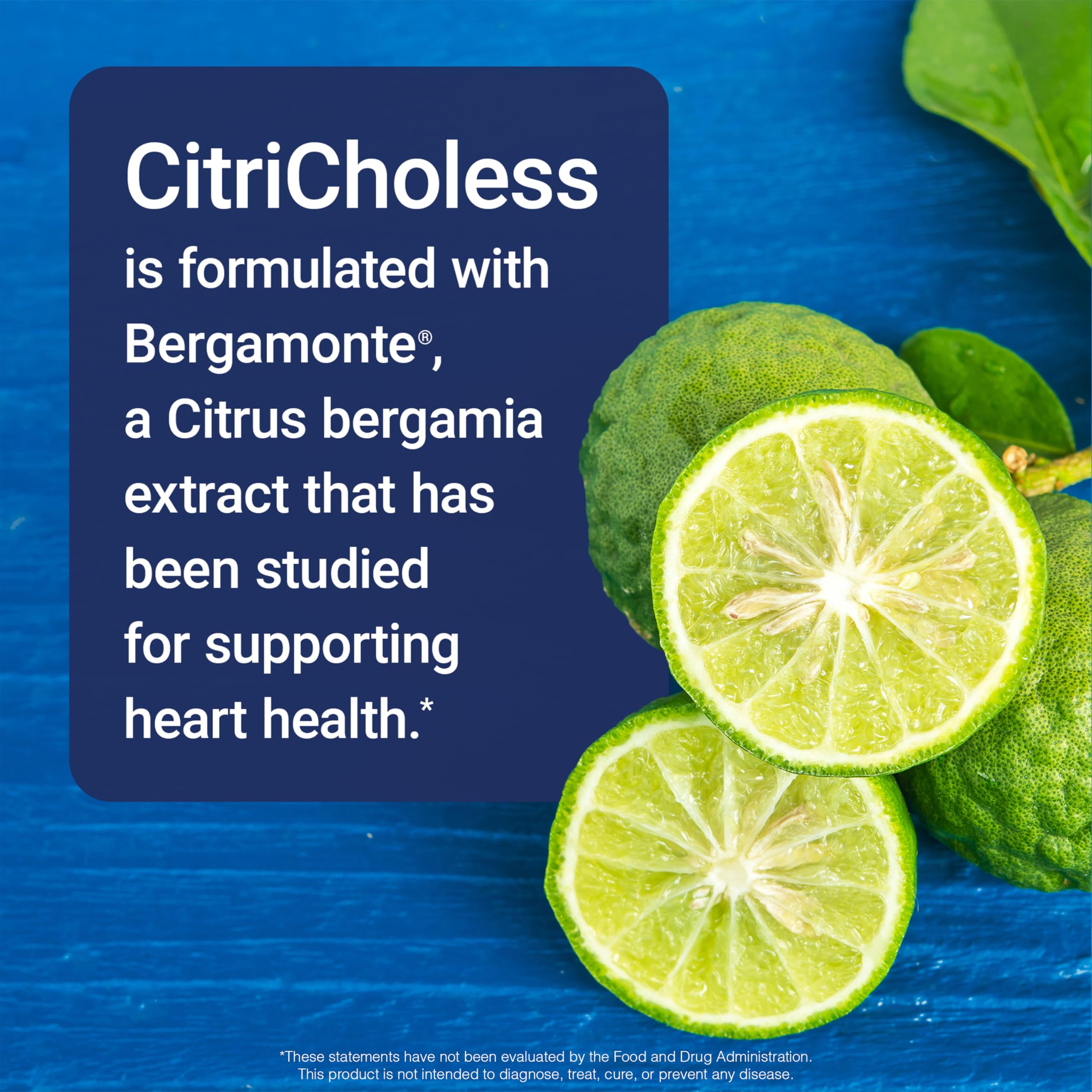 nutritional support for cholesterol levels