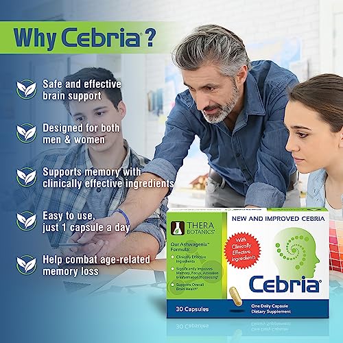 nutritional support for cognitive aging