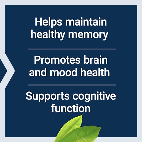 nutritional support for cognitive performance