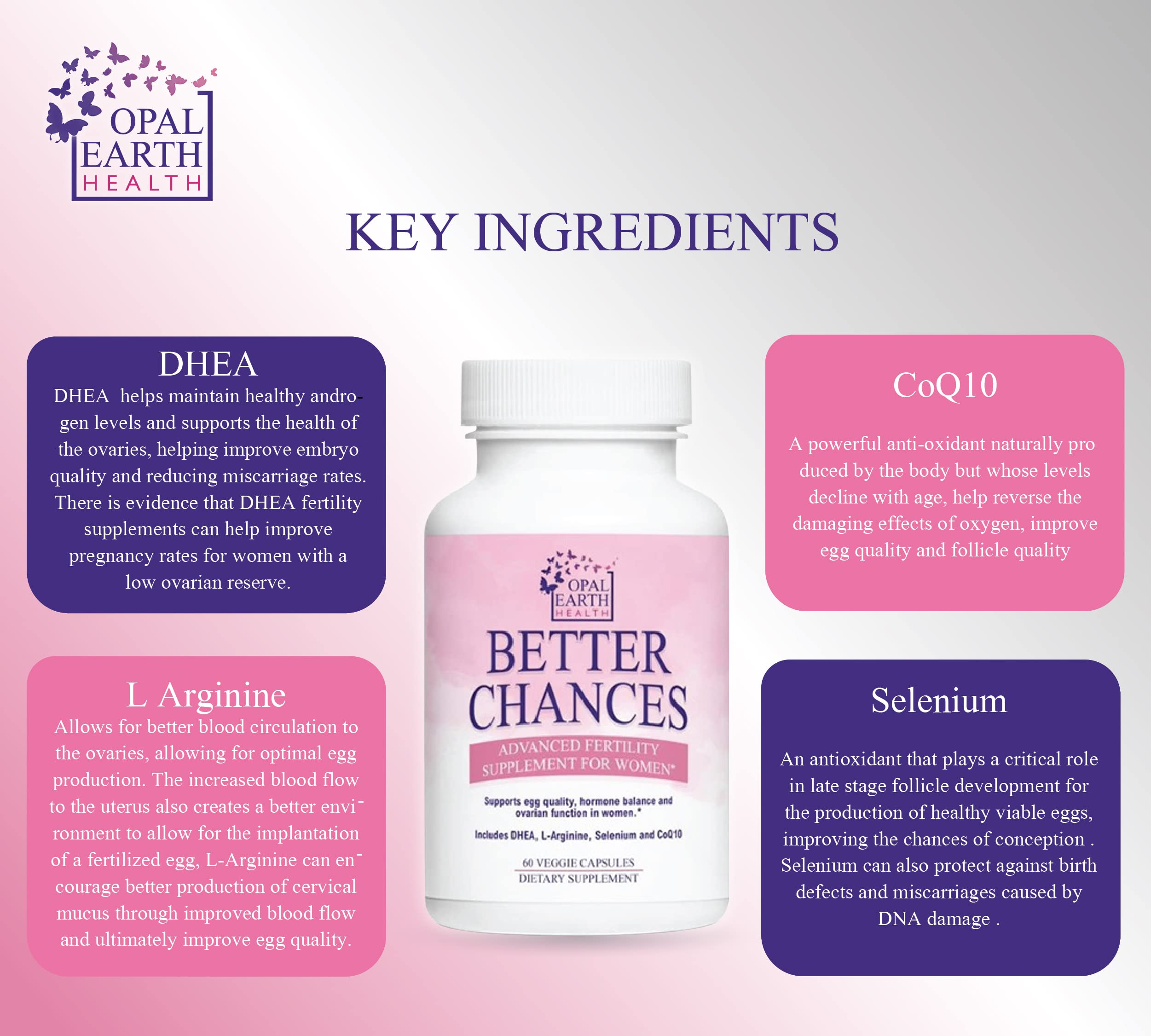nutritional support for conception