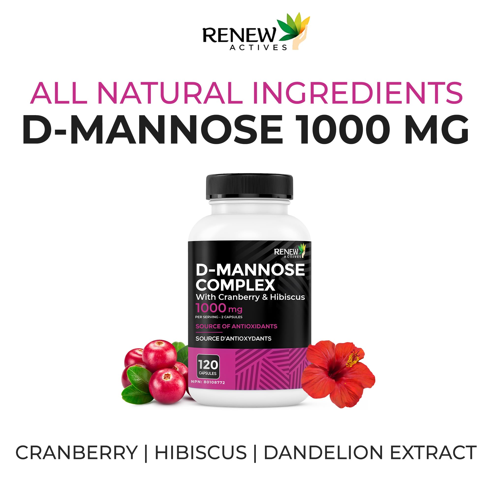 nutritional support for daily wellness