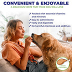 nutritional support for dog pregnancy