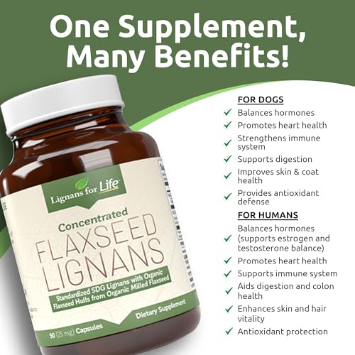 nutritional support for dogs