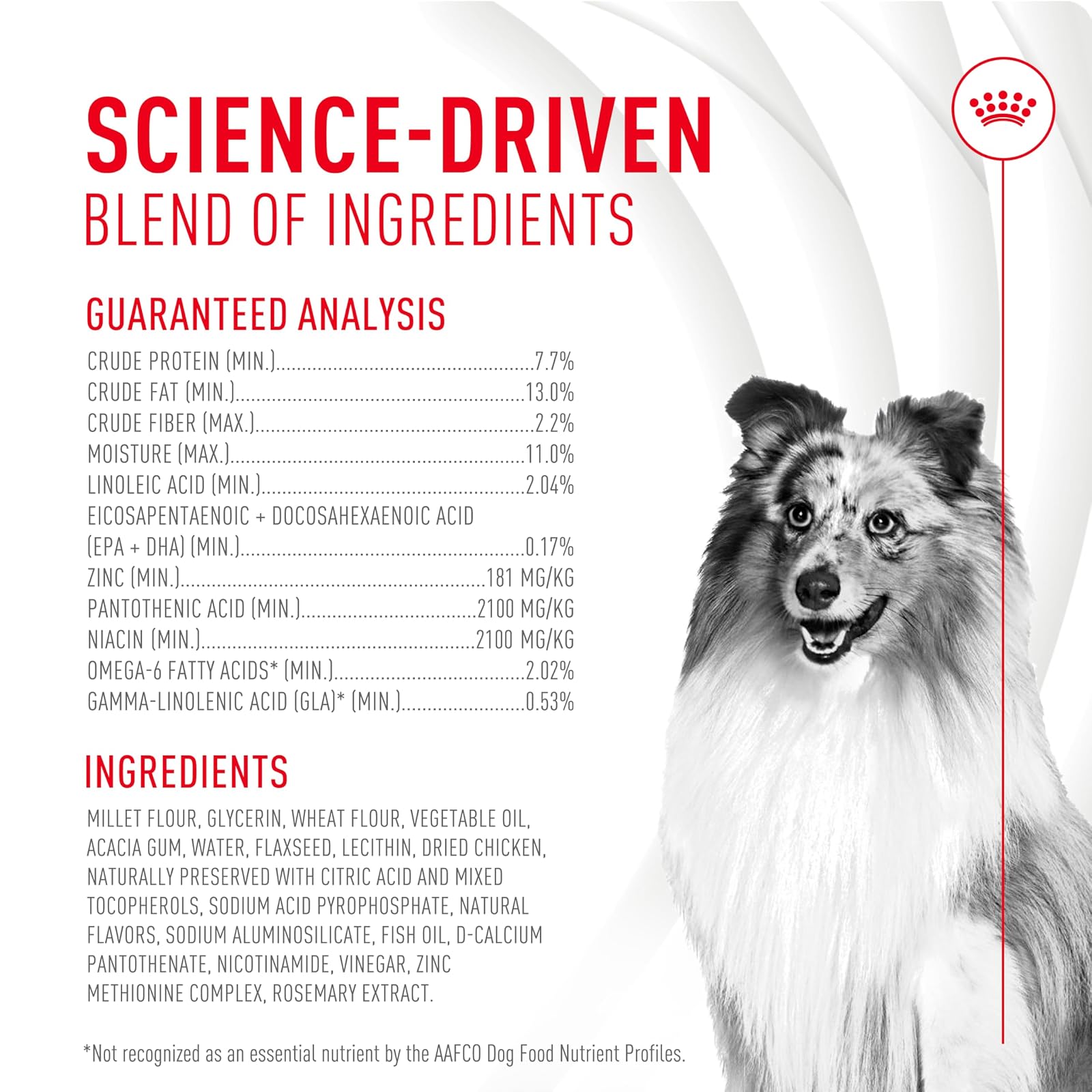 nutritional support for dogs
