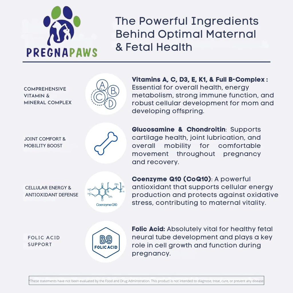 nutritional support for feline pregnancy