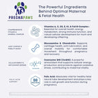 nutritional support for feline pregnancy