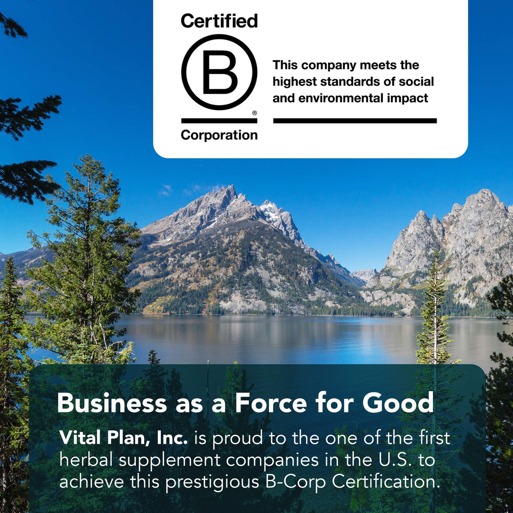 Nutritional support for gut balance
