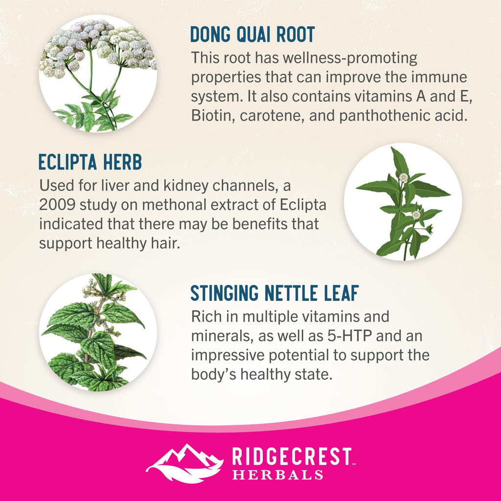 Nutritional support for hair loss
