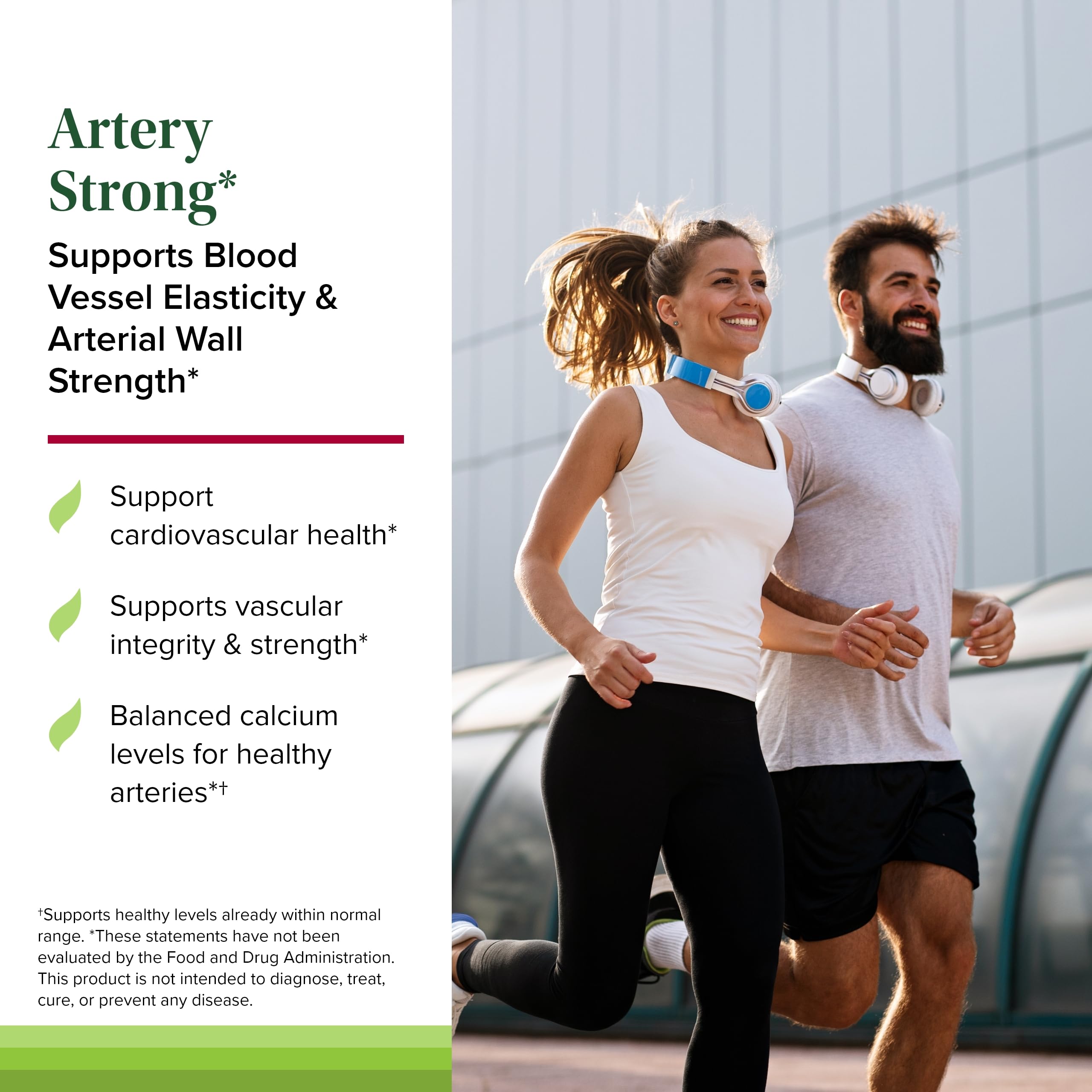 nutritional support for healthy arteries