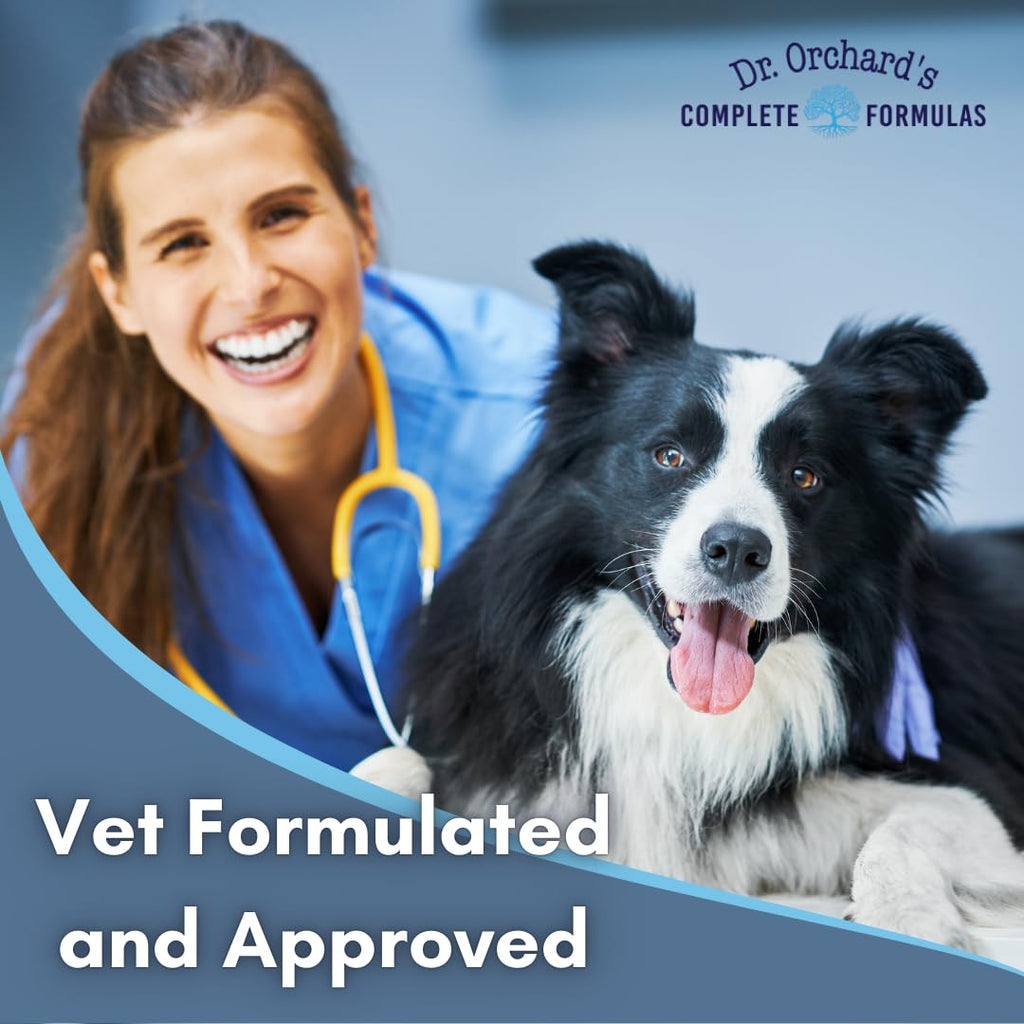nutritional support for healthy bones