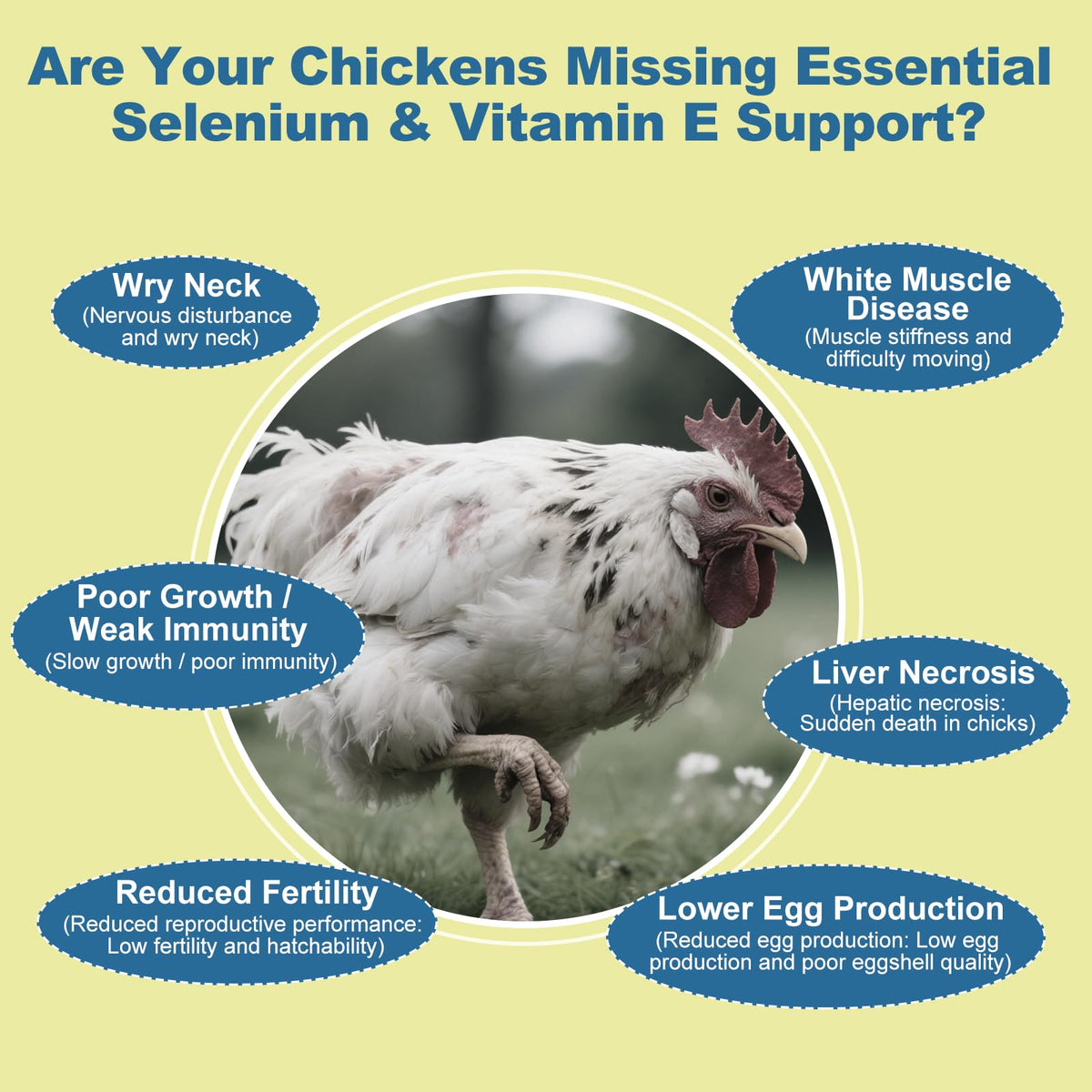 Nutritional support for healthy chicken growth