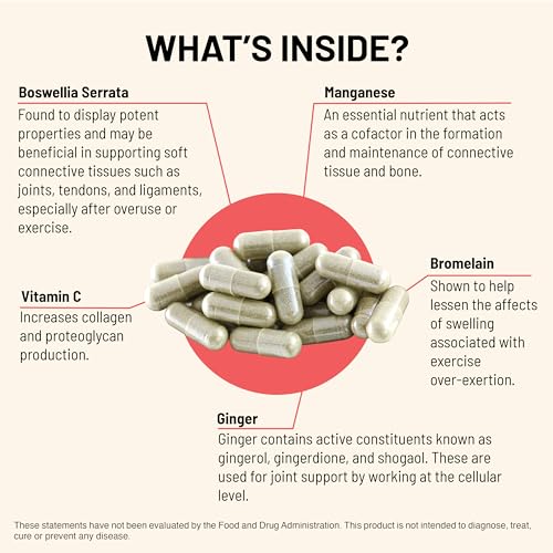 Nutritional support for joints