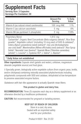 Nutritional support for kidney function