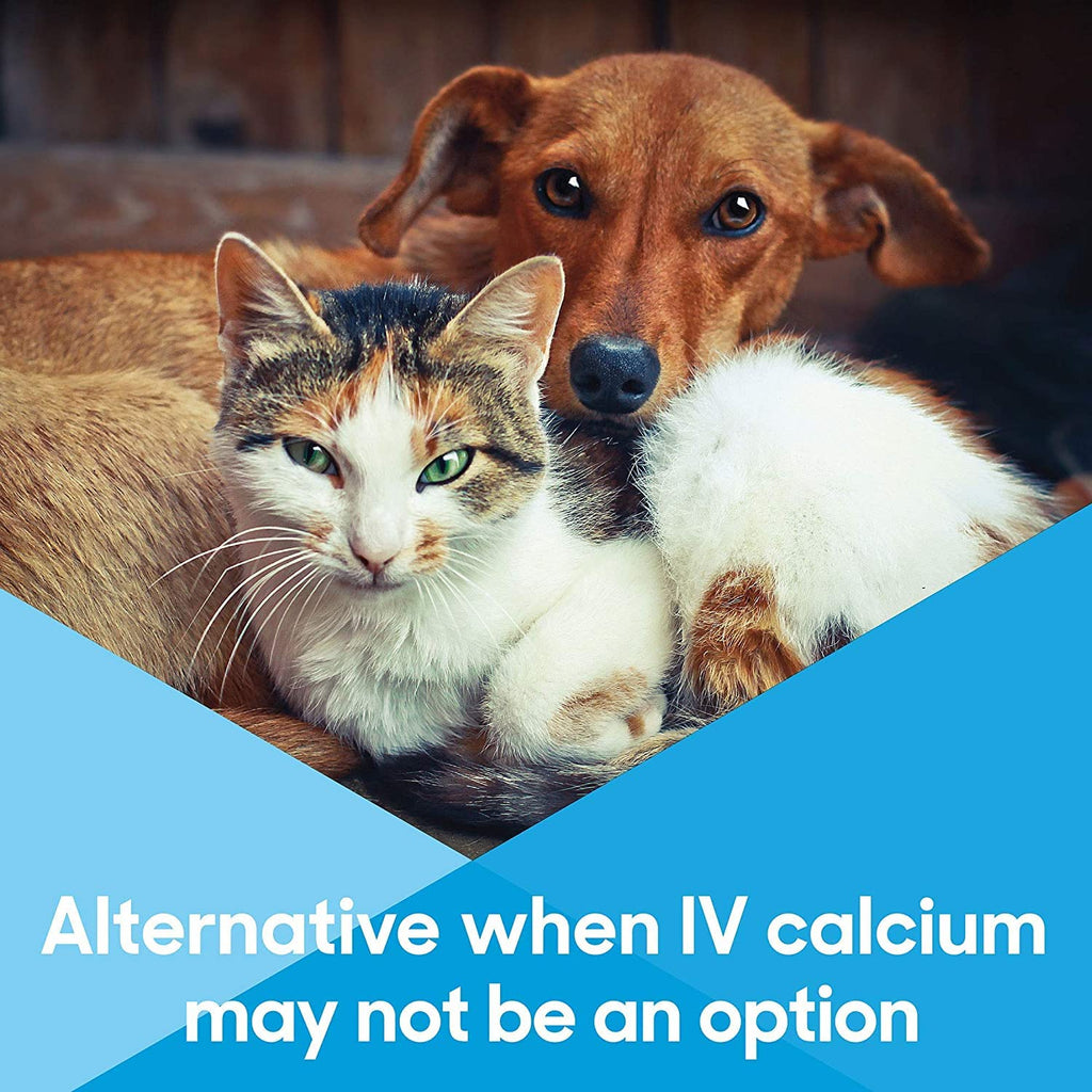 Nutritional support for lactating dogs