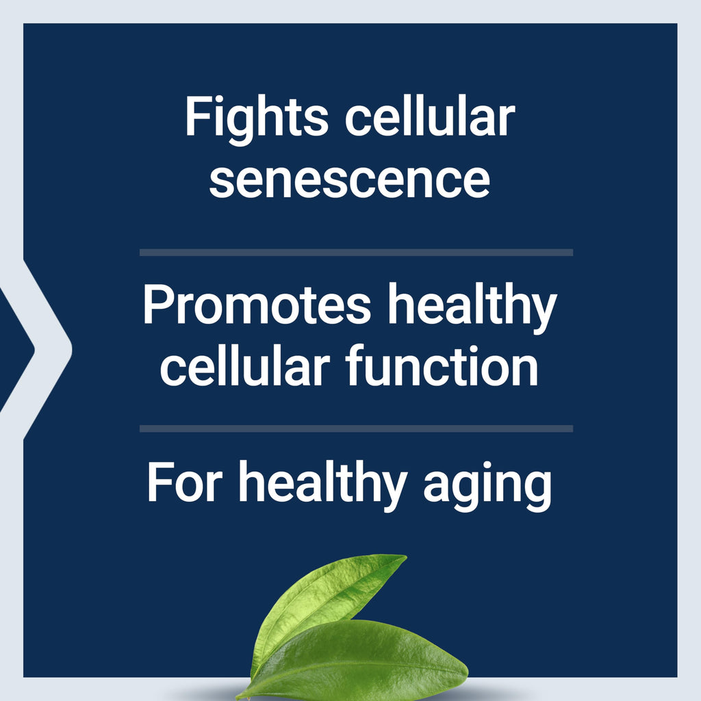nutritional support for longevity