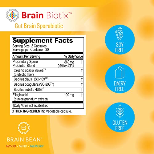 nutritional support for mental clarity