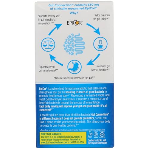 nutritional support for mental clarity