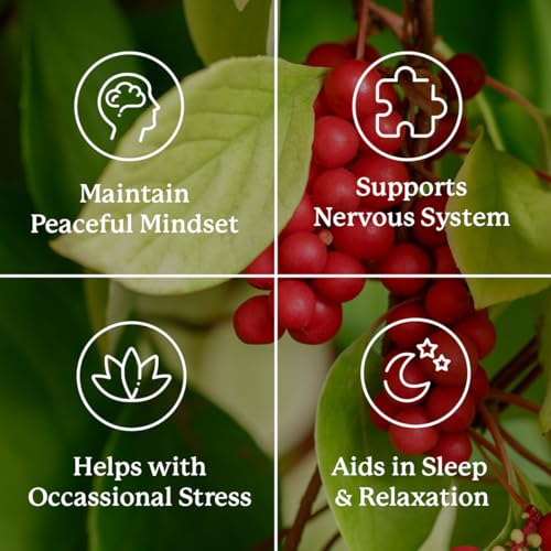 nutritional support for mental wellness