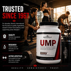 nutritional support for muscle recovery