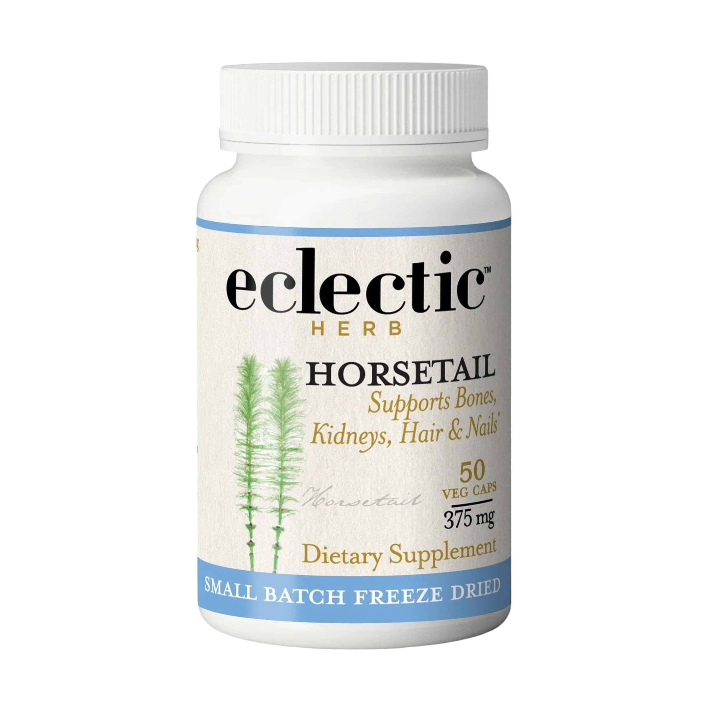 nutritional support for skin health
