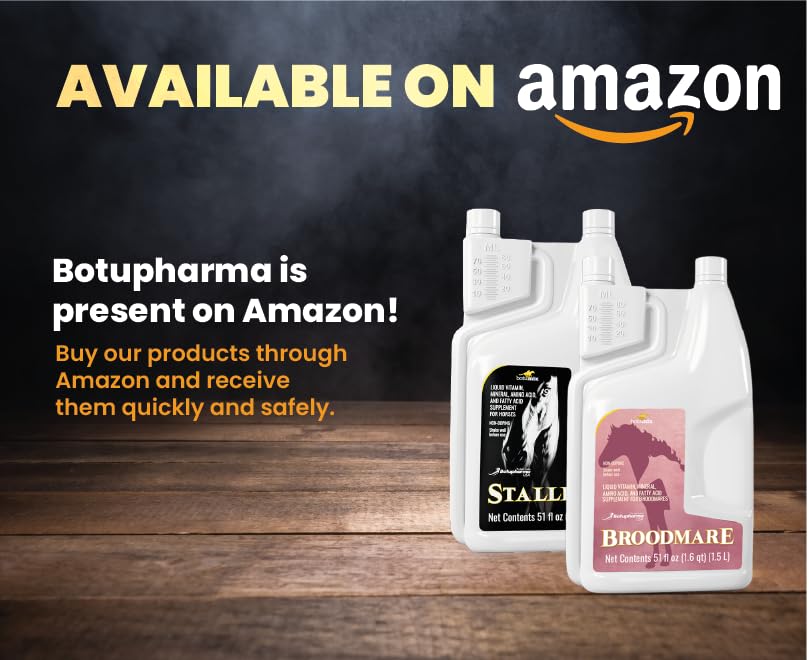 nutritional support for stallion performance