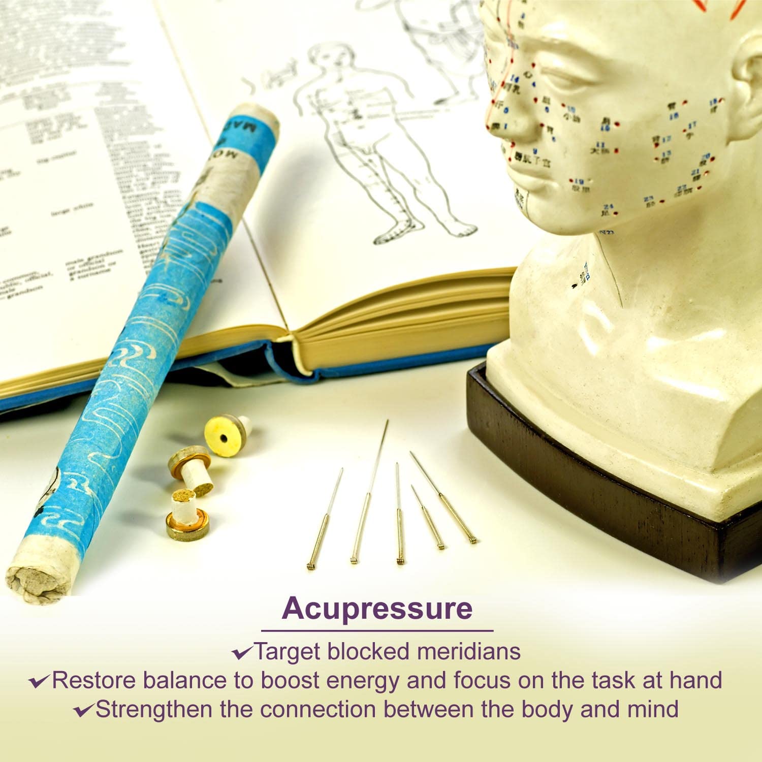 nutritional support for studying
