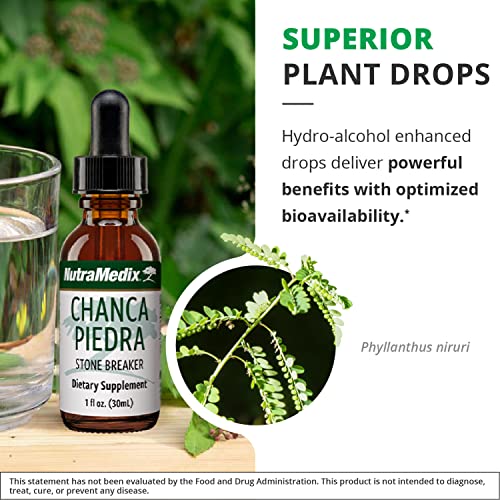 nutritional support for urinary tract