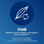 nutritional support for wound healing