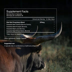 nutritional support from beef organs