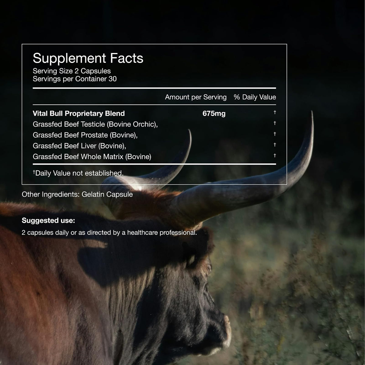 nutritional support from beef organs