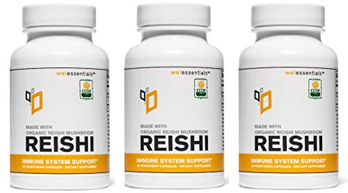 nutritional support from reishi mushrooms
