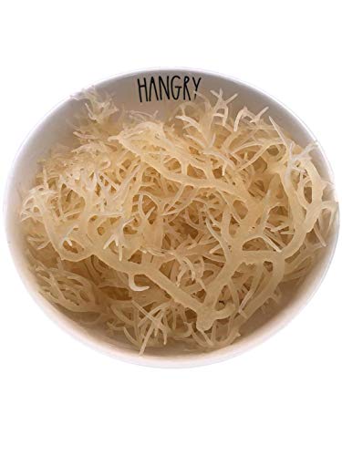 nutritional support sea moss supplement