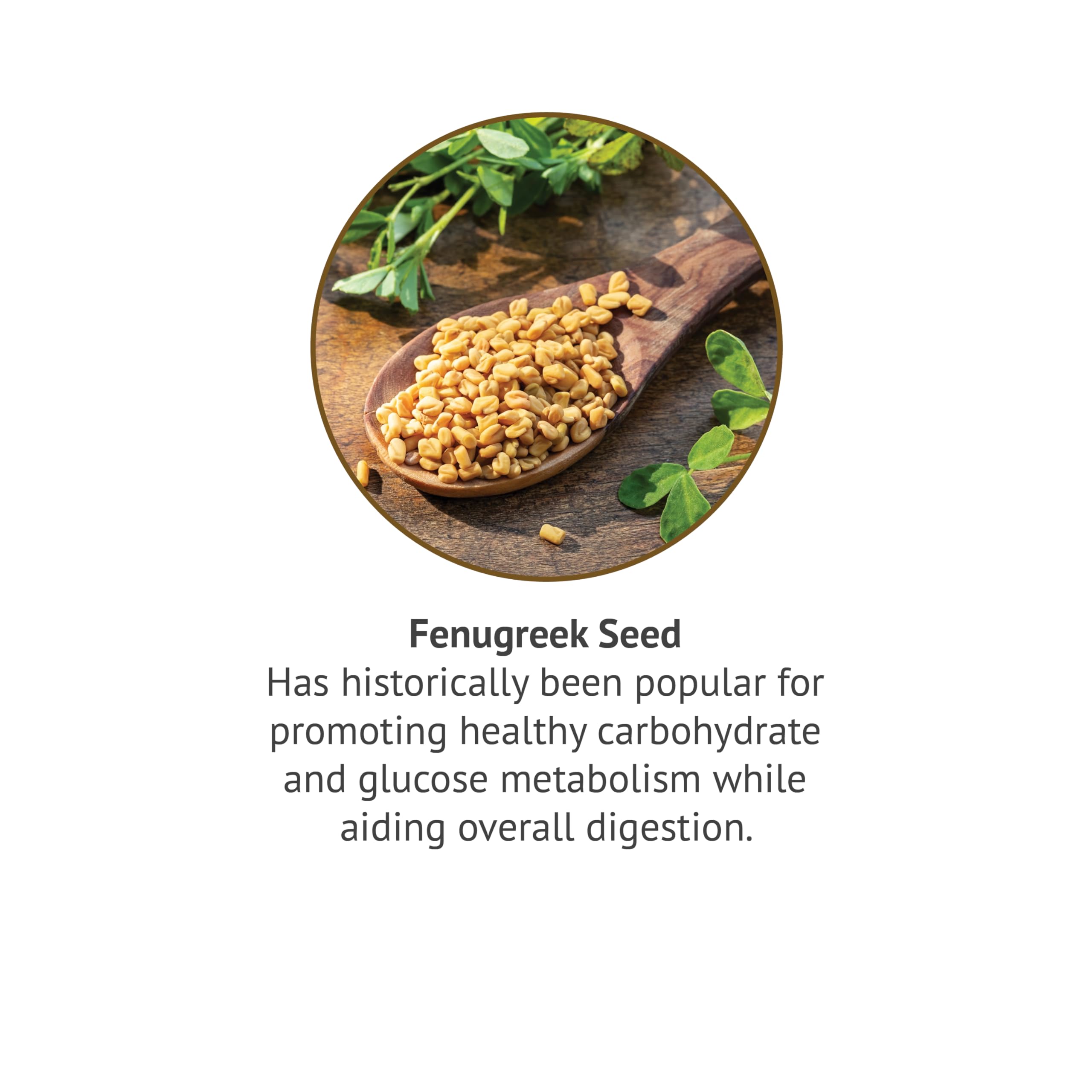 nutritional support with fenugreek extract