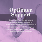 nutritional support with folic acid